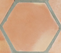 Saltillo San Hexagon 12 x 12