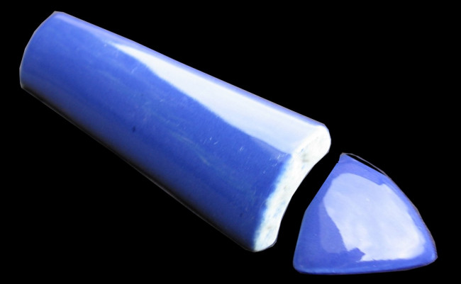 Hand Painted Pool Tiles - Poblano Porcelain Designs - Beak